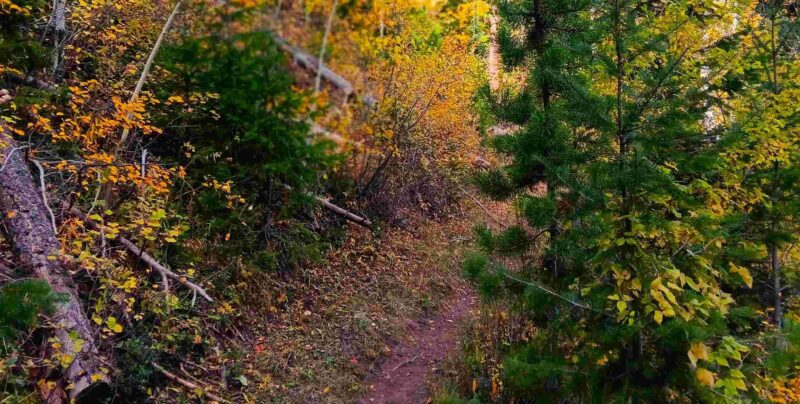 ATRA announces 2025 theme: Innovation — ATRA