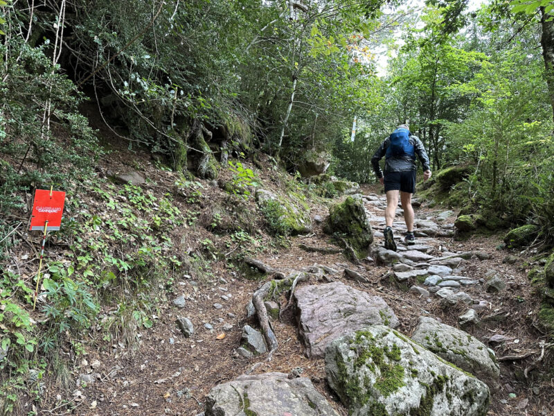World Masters Mountain Running Championships: an athlete’s perspective ...