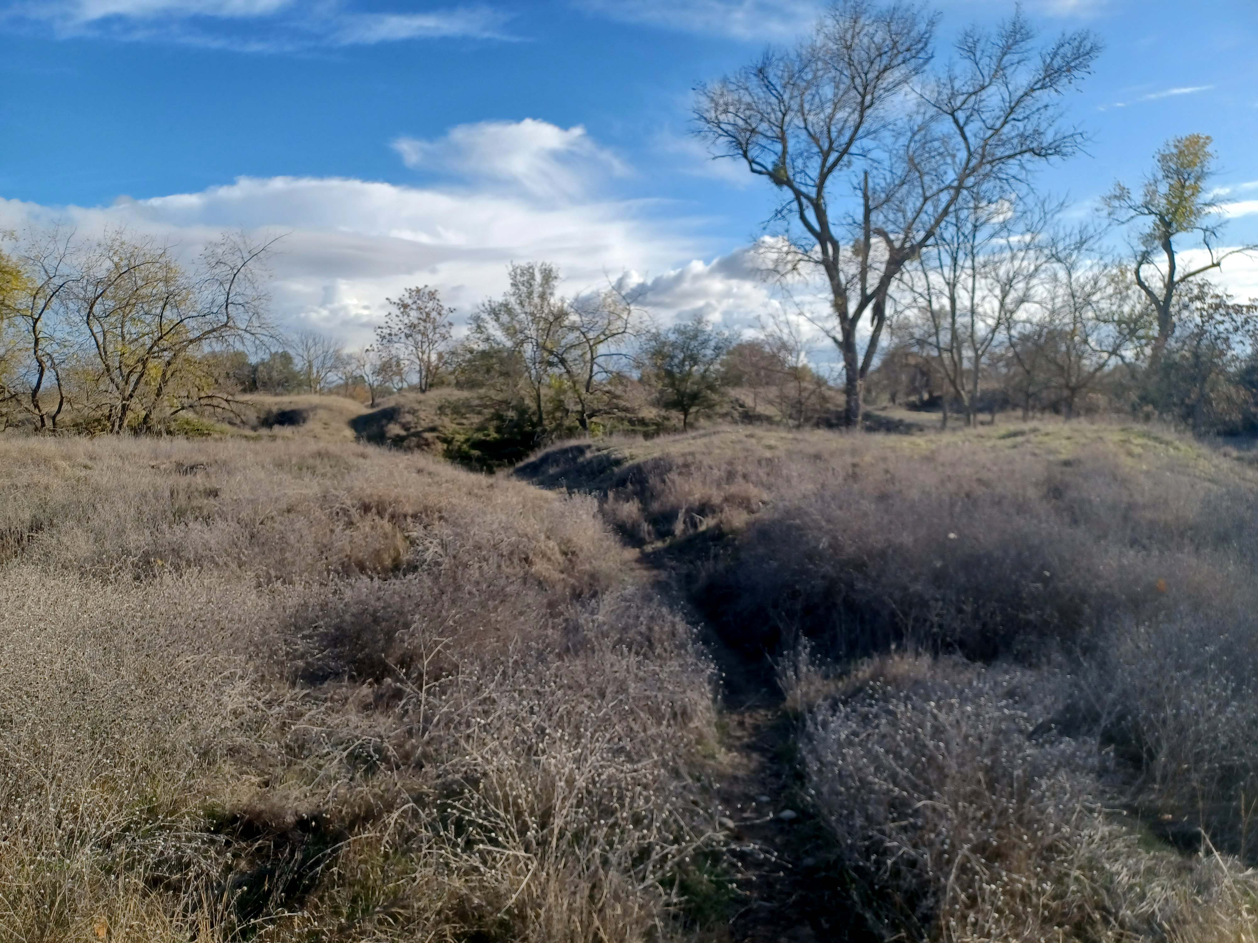 Wild Goose Chase 5K, 10K Rossmoor Bar — ATRA